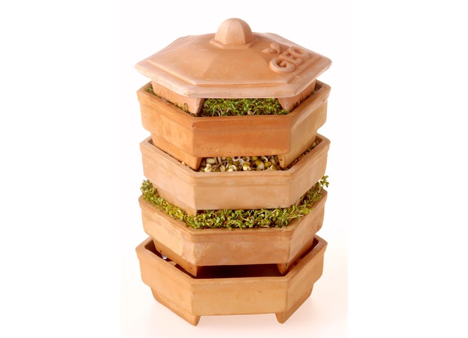 GEO Terra Cotta Sprouter – Weston seed